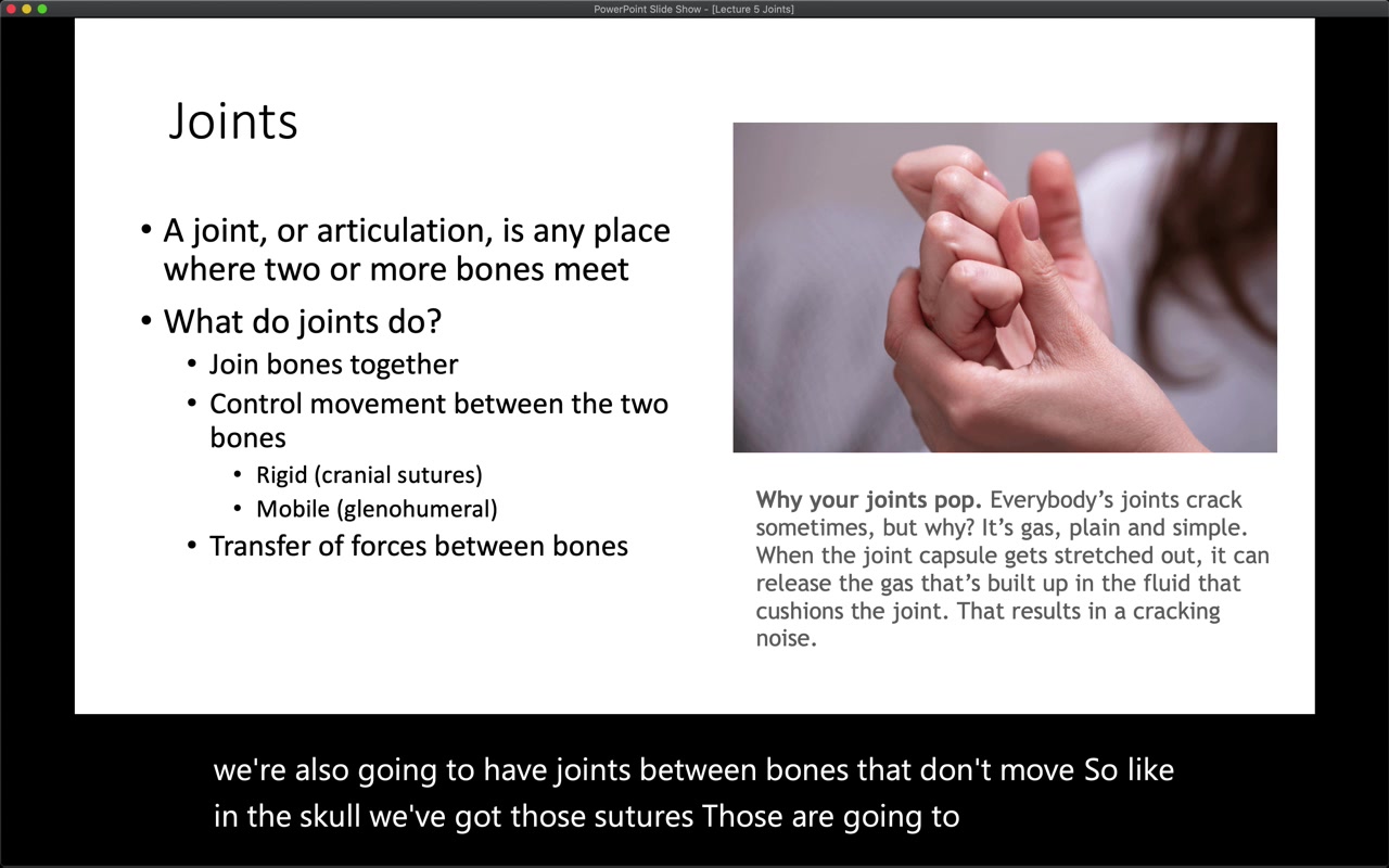 Lecture 5 - Joints